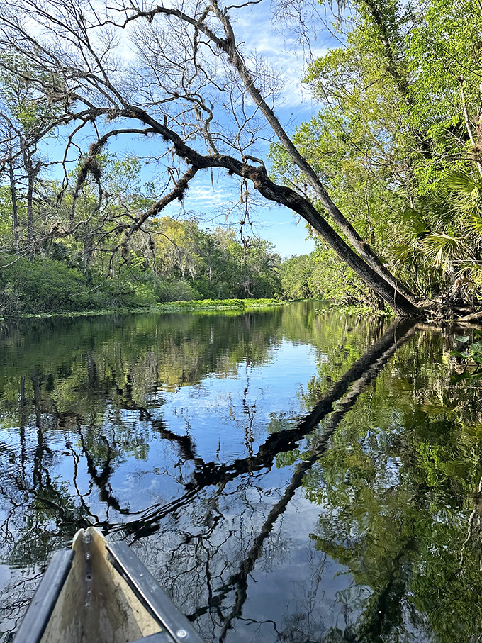 Mirror, mirror on the water &ndash; this reflective stretch of river doubles the beauty with perfect symmetry and a canoe's-eye view.