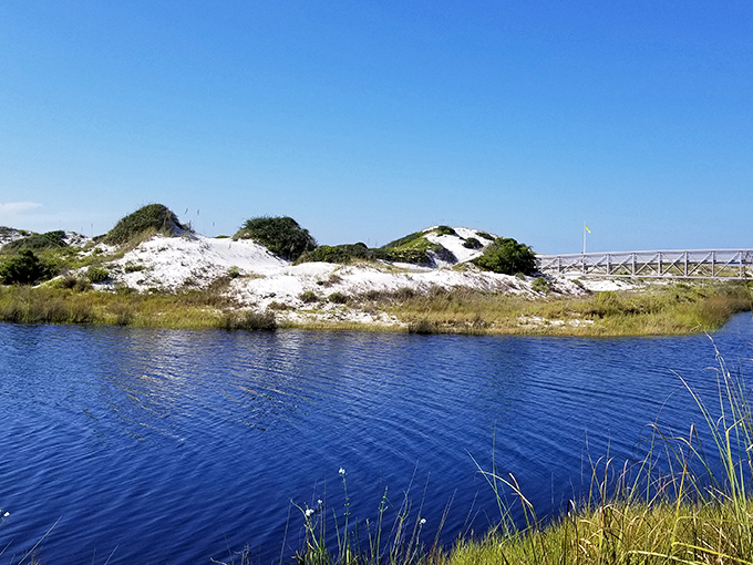 Sand dunes: Nature's skyscrapers rise majestically along the shoreline, their windswept ridges telling stories of centuries past.