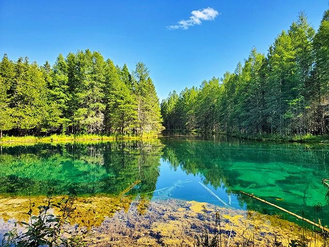 Mother Nature's infinity pool! The emerald-blue waters of Kitch-iti-kipi spring maintain perfect clarity while showcasing an underwater world few can resist.