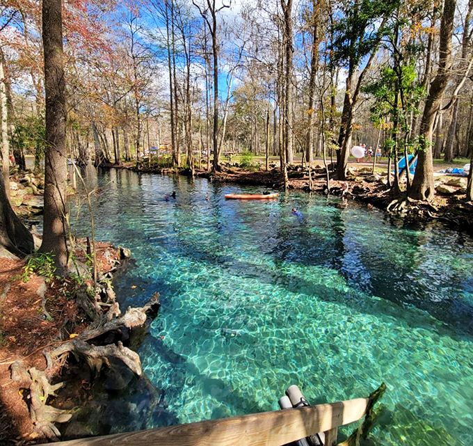 Nature's own infinity pool &ndash; crystal-clear spring water creates a surreal underwater landscape that seems almost too perfect to be real.