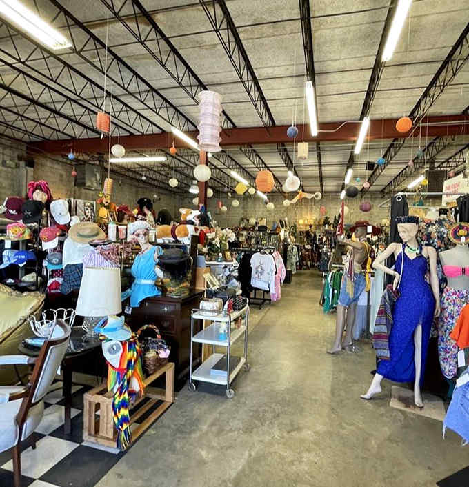 Treasure hunting paradise! The warehouse-like interior houses decades of fashion, furniture, and funky finds waiting to be discovered.