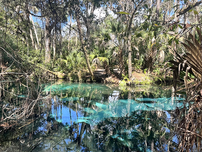 Bubbling up from limestone depths, this aquamarine marvel makes your fancy home water filter look woefully inadequate.