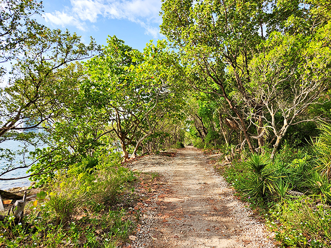 Winding through dense subtropical foliage, this path promises adventures where the only traffic jams involve occasional sunbathing iguanas.