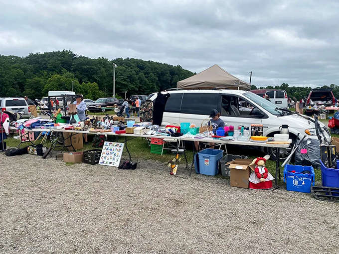 Each vendor's setup tells its own story, transforming ordinary tables into curated collections that span decades of American life and prove that one person's clutter is definitely another person's treasure.