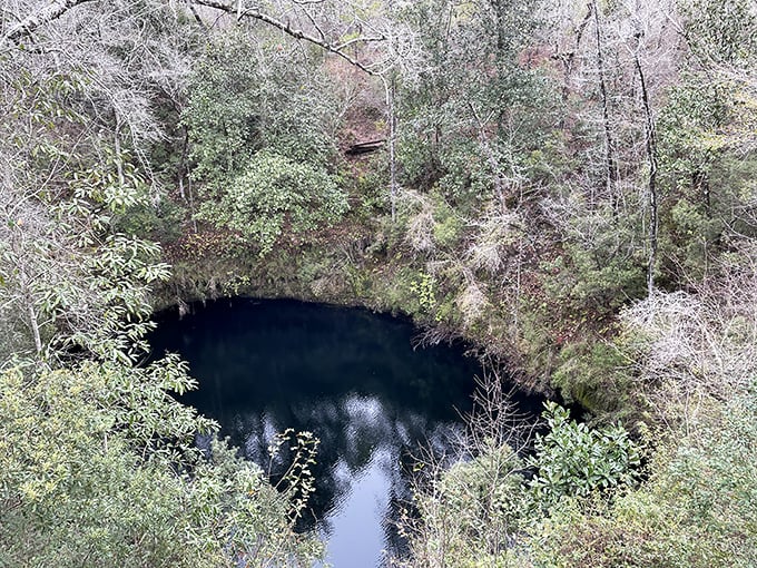 This wet sinkhole looks like Mother Nature's secret swimming hole, its mysterious blue depths a window into Florida's hidden underground waterways.