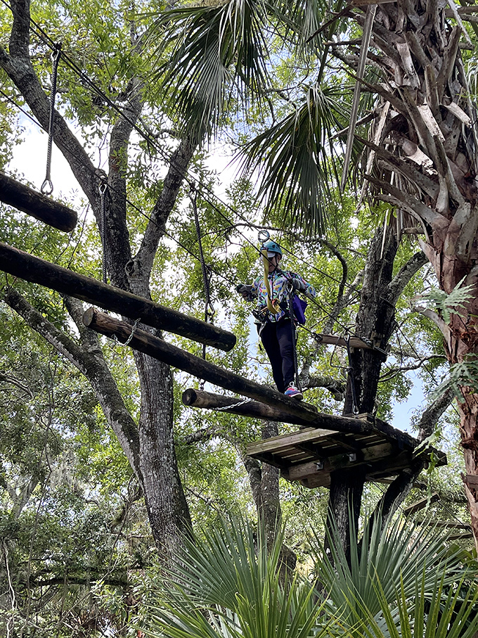 Balancing act perfected! A visitor traverses the aerial pathway, surrounded by palm fronds and Florida sunshine filtering through the canopy.