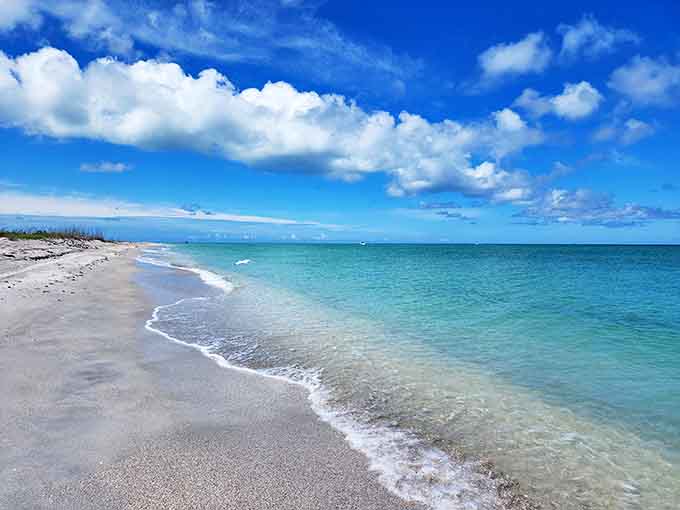 Where the Gulf of Mexico whispers secrets to the shore, leaving behind treasures for early-morning beachcombers.