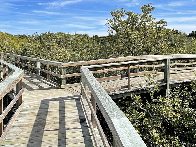 The boardwalk zigzags through coastal vegetation, creating a geometric contrast to nature's wild abundance &ndash; like modern art in a primeval gallery.