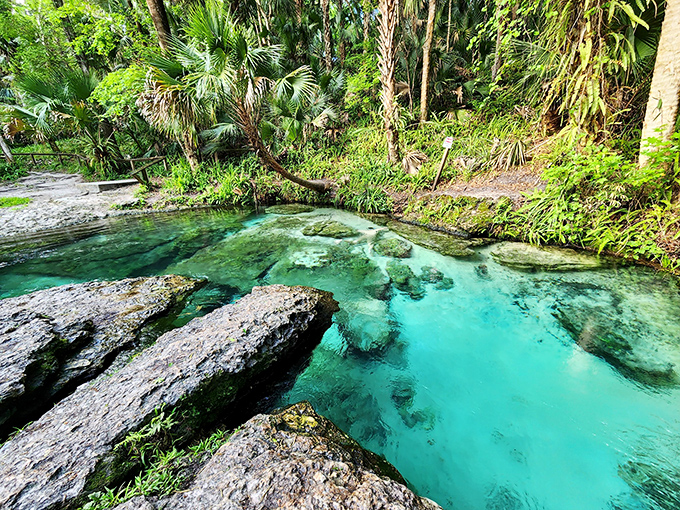 Mother Nature showing off with water so impossibly turquoise it looks like she hired a Hollywood special effects team.