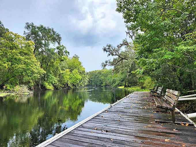 A wooden dock stretches alongside the Santa Fe River, offering contemplative moments where time seems to slow with each gentle ripple.