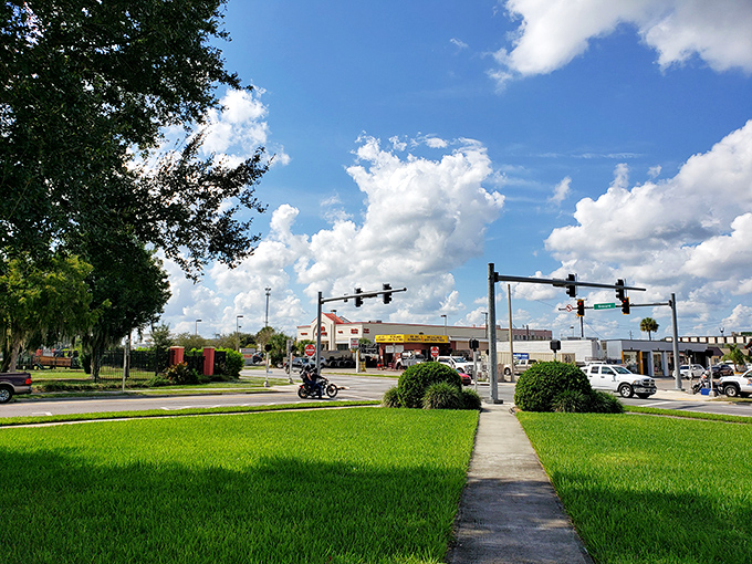 Blue skies and green lawns frame Arcadia's everyday life. This is Florida without the tourist brochure makeover&mdash;authentic, unhurried, and surprisingly charming.