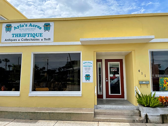 A welcoming storefront that tells you everything you need to know &ndash; this isn't just shopping, it's rescue work disguised as retail therapy.