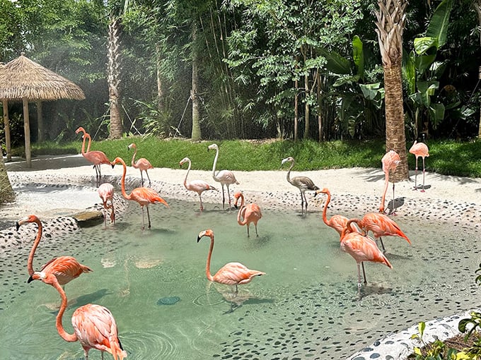 Flamingos strut their stuff in this vibrant habitat, their coral-pink feathers creating a living sunset against the lush greenery.