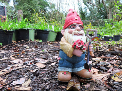 This Tiny Florida Park Is A Gnome Wonderland—And It’s Absolutely Magical