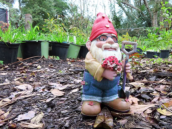 This garden gnome doesn't just tend flowers&mdash;he's practically bursting with personality, from his rosy cheeks to his tiny garden shovel.