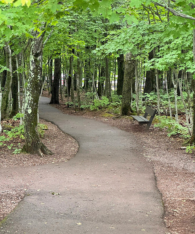 Nature's welcome mat: A winding path through the Porcupine Mountains forest invites visitors to wander deeper into Michigan's emerald embrace.