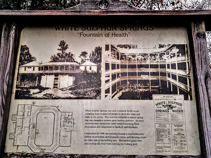 This weathered historical sign reveals the spring's heyday as "Florida's Original Tourist Destination" long before Mickey arrived.