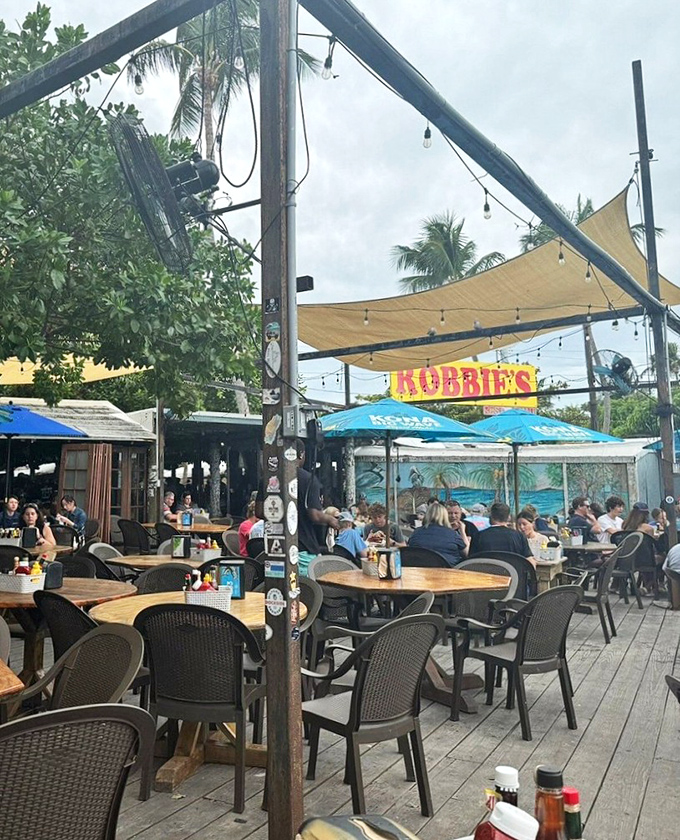 Under colorful canopies, the Hungry Tarpon Restaurant serves up fresh seafood and cold drinks with a side of authentic Keys atmosphere.