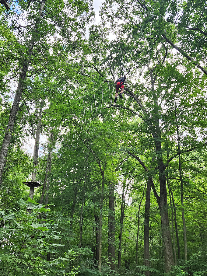 Suspended between earth and sky, adventurers navigate this wooden bridge with equal parts determination and "what was I thinking?" expressions.