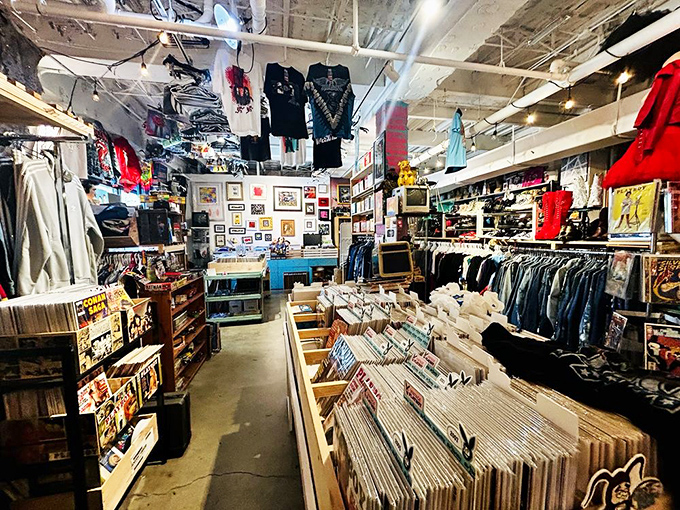 Vinyl treasures await crate-diggers in this analog paradise where every album cover tells a story and every record holds someone's memories.