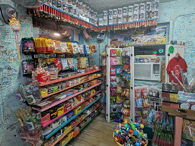 Step inside and enter a kaleidoscope of confections where every available inch is dedicated to the serious business of sweetness.