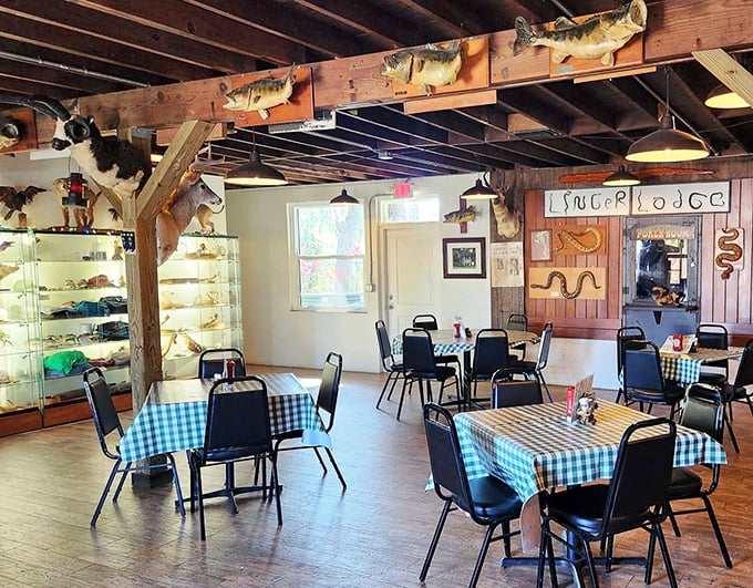 Step inside to a wonderland of taxidermy and timber, where mounted fish swim eternally across wooden beams and checkered tablecloths await hungry explorers.