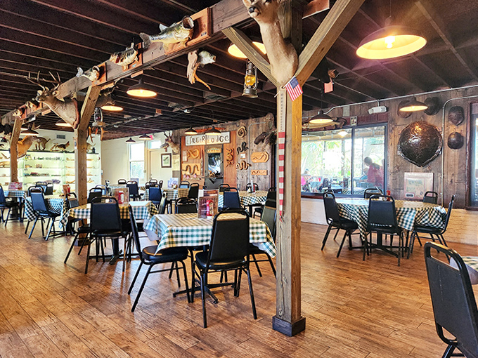 Interior: Step into old Florida's quirkiest dining room, where wooden beams, checkered tablecloths, and watchful taxidermy create an atmosphere you can't find at chain restaurants.