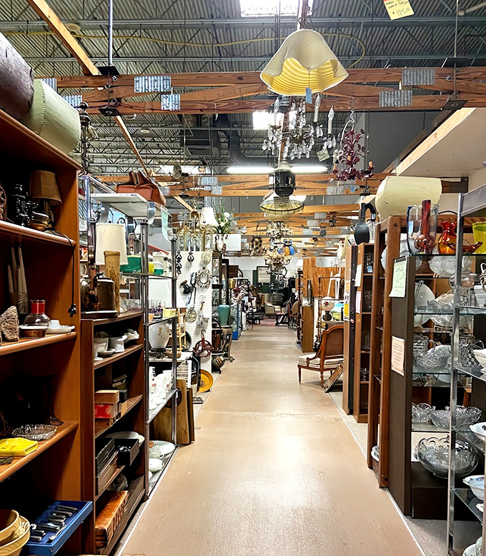 Navigating these aisles is like walking through a museum where everything's for sale and every turn reveals another decade's worth of memories.