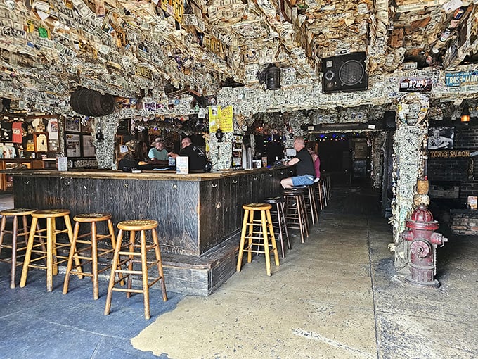 The main bar area feels like stepping into a time capsule where every surface tells a story of visitors past.
