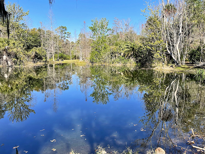 Mirror-like waters reflect the surrounding trees and sky, creating a double dose of Florida's natural beauty.