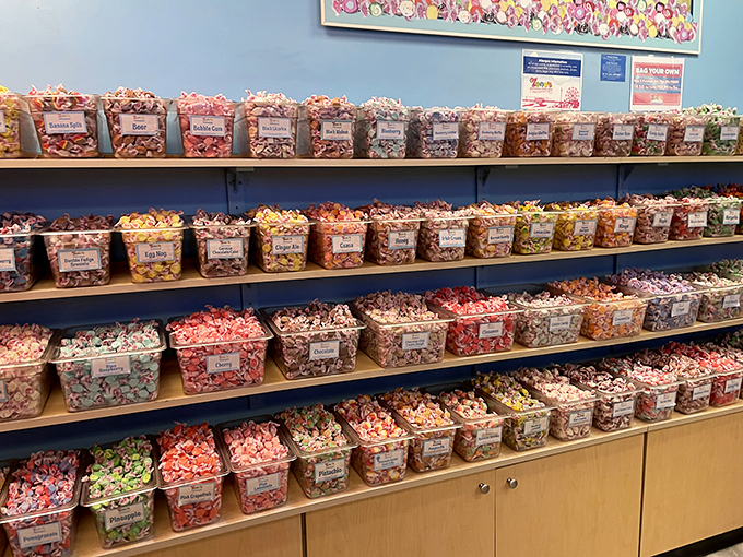 A treasure trove of temptation awaits with rows upon rows of colorful candies, each bin a different adventure for your taste buds.