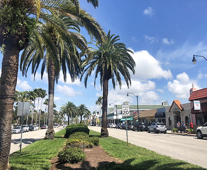 Main Street beckons with its wide, inviting sidewalks and lush palm trees creating the perfect backdrop for a leisurely day of exploration.