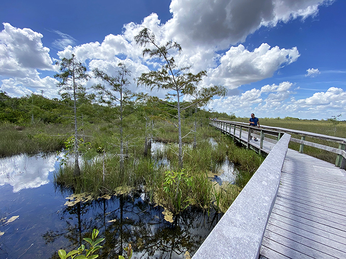 A solitary explorer pauses on the wooden path, dwarfed by the vast sky and reflecting waters &ndash; proof that sometimes the best views make us feel delightfully small.