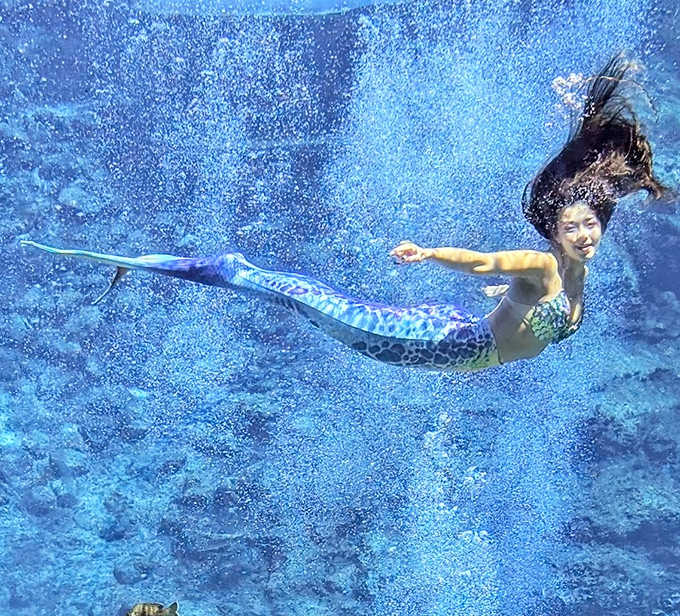 Defying both gravity and current, this mermaid performer makes the impossible look effortless as she twirls through the natural spring's pristine waters.
