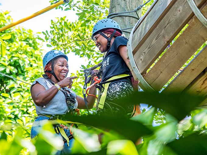 Joy is contagious at 30 feet up! These adventurers share a moment of triumph that's worth more than any souvenir.