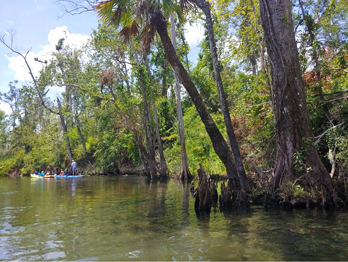 Morning mist dances across the water's surface as kayakers glide through nature's mirror, where reality and reflection become delightfully confused.