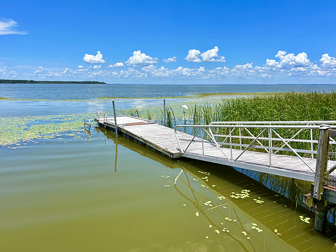 Lake Apopka stretches to the horizon, its waters reflecting clouds that didn't require a special effects budget or engineering team.