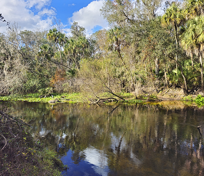 Mirror, mirror on the water &ndash; the Hillsborough River creates perfect reflections that would make any Instagram filter jealous.