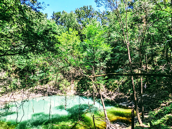 A hidden oasis awaits: Sunlight filters through the canopy, illuminating the sinkhole's otherworldly blue-green waters like nature's own mood lighting.