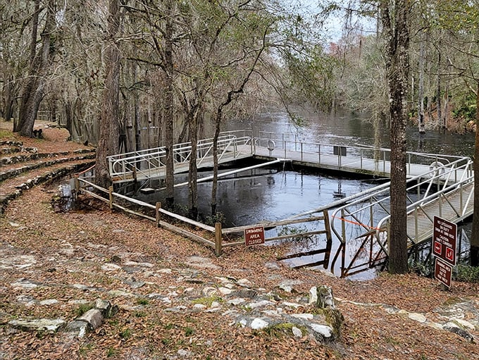 Nature's swimming pool awaits! This crystal-clear swimming area offers refreshing relief from Florida's heat without a single chlorine tablet in sight.