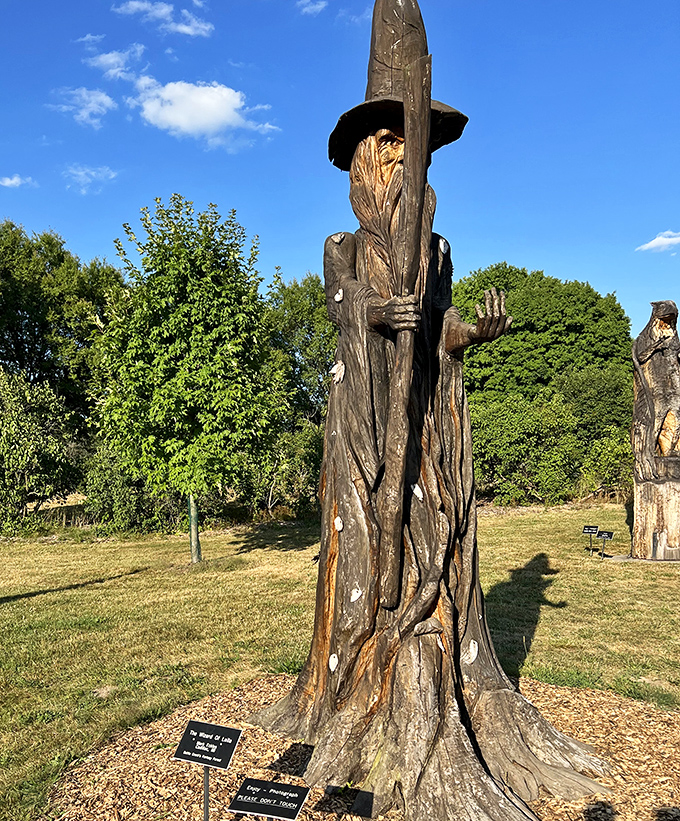 The wizard of Leila watches over the forest with knowing eyes, his carved wooden staff seemingly charged with ancient magical energy.
