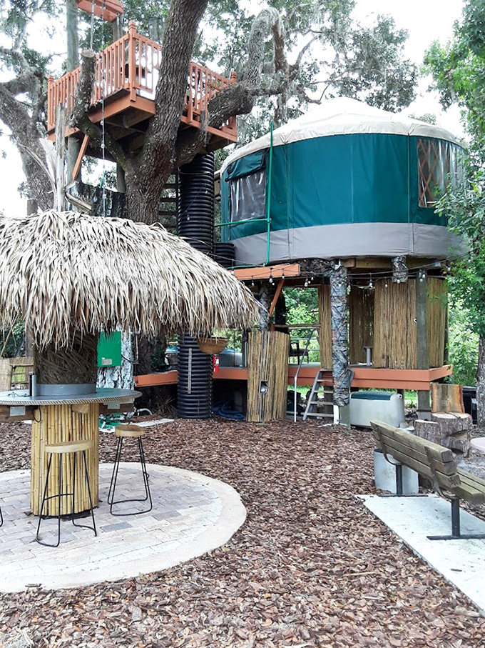 Where luxury meets leafy canopy: This elevated escape combines rustic charm with modern comforts, proving treehouses aren't just for kids anymore.