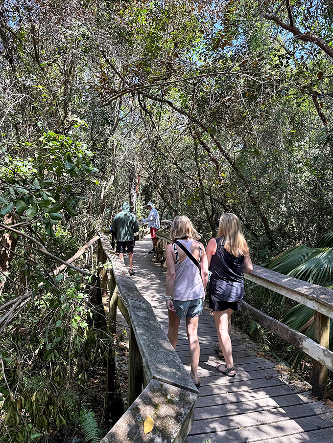 Visitors stroll along the shaded boardwalk, where dappled sunlight creates a natural spotlight show through the dense canopy overhead.
