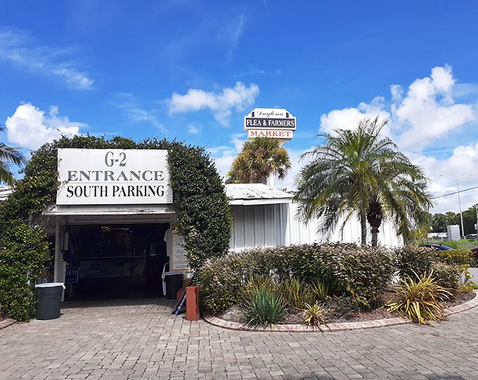 Gateway to bargain paradise! Daytona's ivy-covered entrance beckons shoppers through a tropical portal where palm trees stand guard over hidden treasures waiting inside.