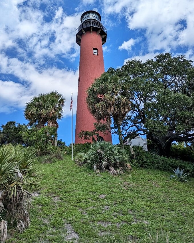 Jupiter Inlet's brick-red tower reaches skyward, surrounded by palm trees and coastal vegetation in a scene that screams "Florida" at its most picturesque.