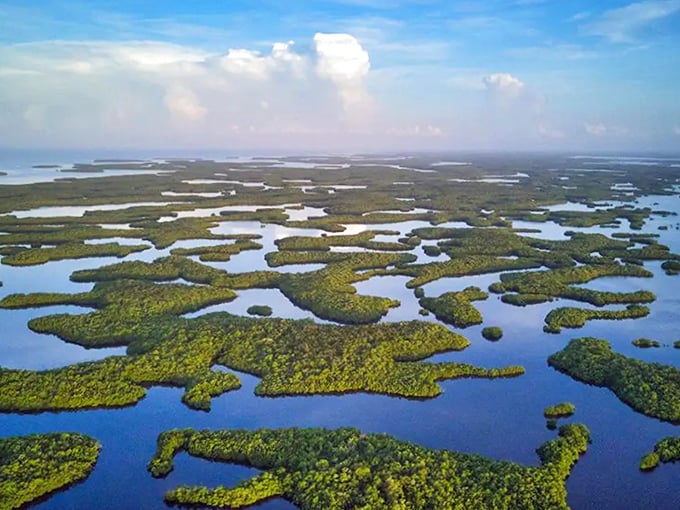 2a. ten thousand islands national wildlife refuge (naples)