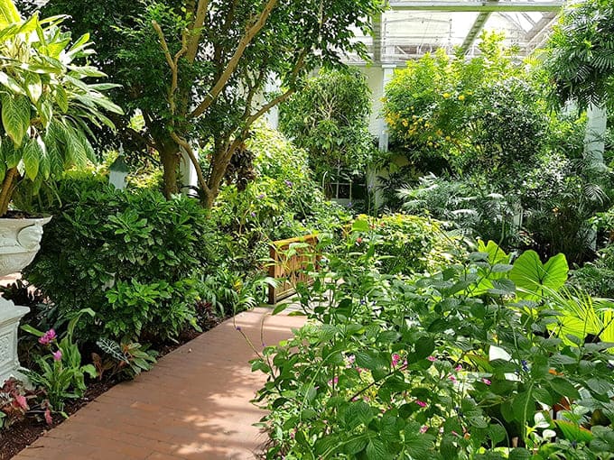 Winding paths through lush greenery invite leisurely strolls, where every turn reveals another pocket of botanical beauty.