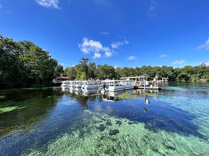 This is what happens when nature decides to create the world's most beautiful swimming pool.