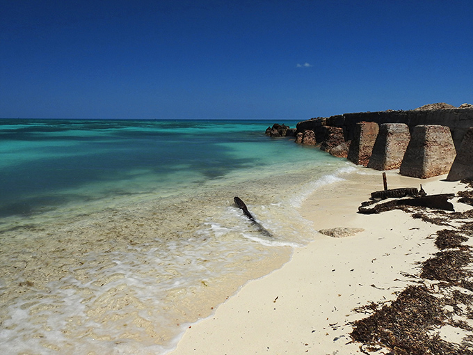 Historic stone pillars from Fort Jefferson stand like ancient ruins against crystal-clear waters that reveal every fish below.