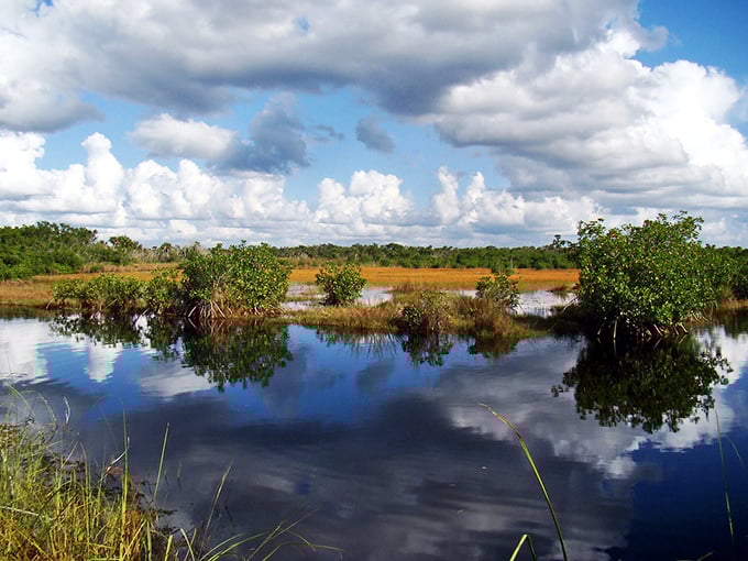 2b. ten thousand islands national wildlife refuge (naples)